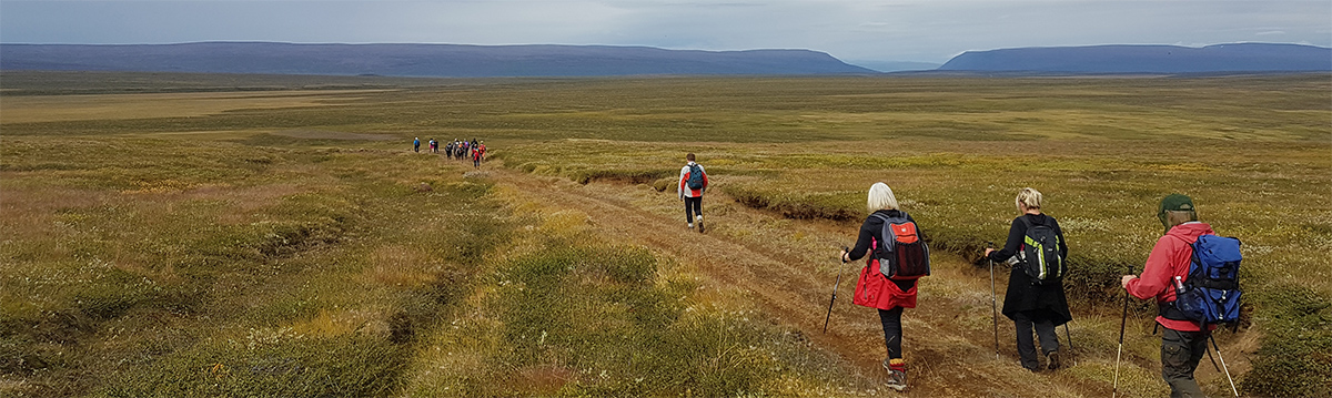 Health and well-being in Northern Iceland in community dwelling ...